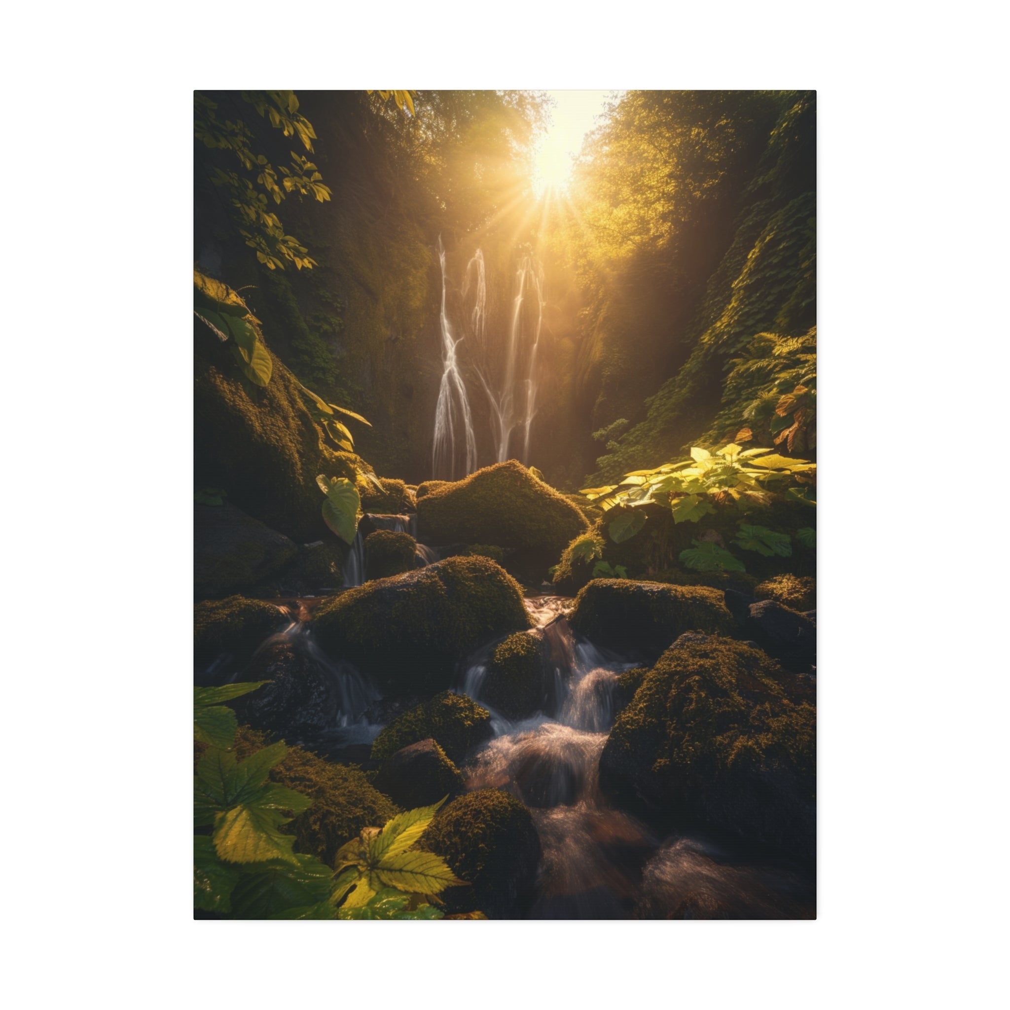 Art - Forest - Sunset - Waterfall – Throttle Designs