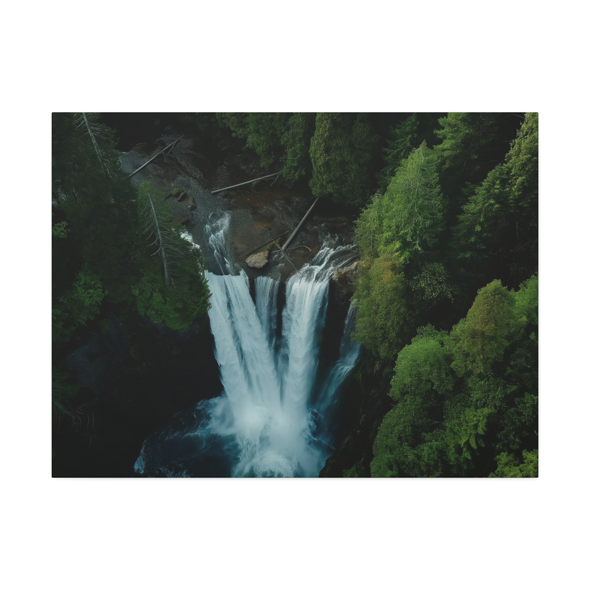 Art - Waterfall - Nature - Forest – Throttle Designs